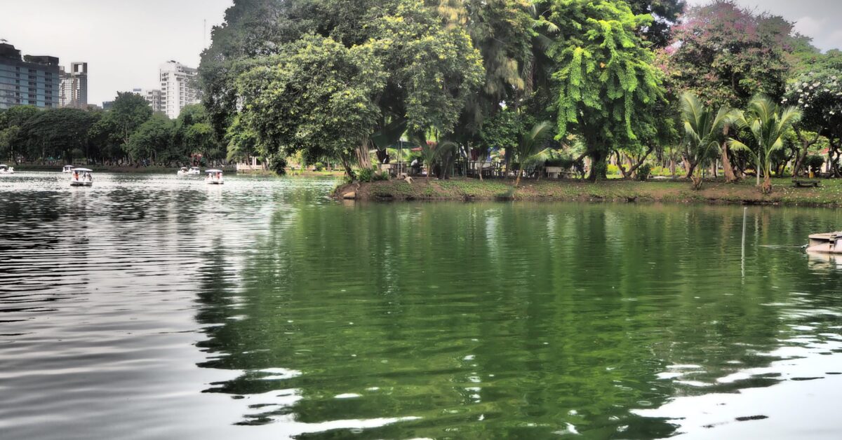 OLYMPUS DIGITAL CAMERA - Ta-panda