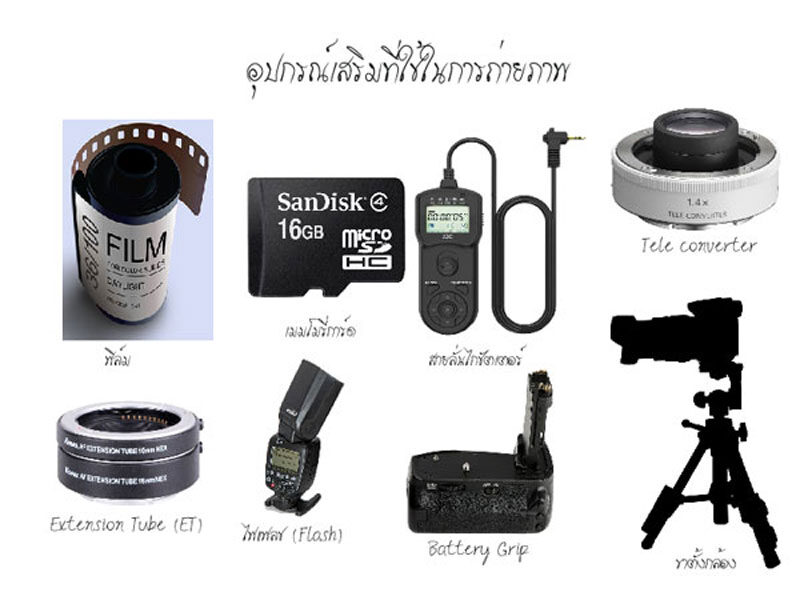 Ta-panda - แหล่งรวมความรู้ต่างๆ และ ไอเดียที่น่าสนใจ