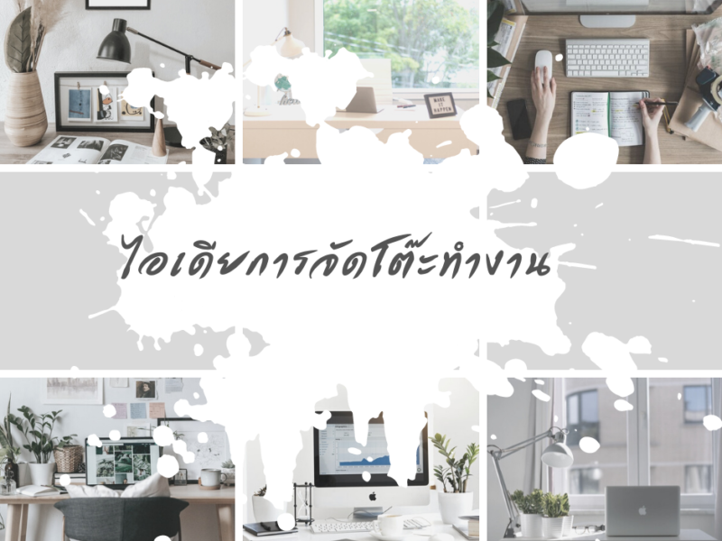 Ta-panda - แหล่งรวมความรู้ต่างๆ และ ไอเดียที่น่าสนใจ