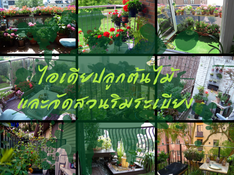 Ta-panda - แหล่งรวมความรู้ต่างๆ และ ไอเดียที่น่าสนใจ