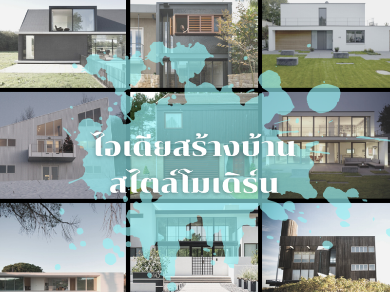 Ta-panda - แหล่งรวมความรู้ต่างๆ และ ไอเดียที่น่าสนใจ