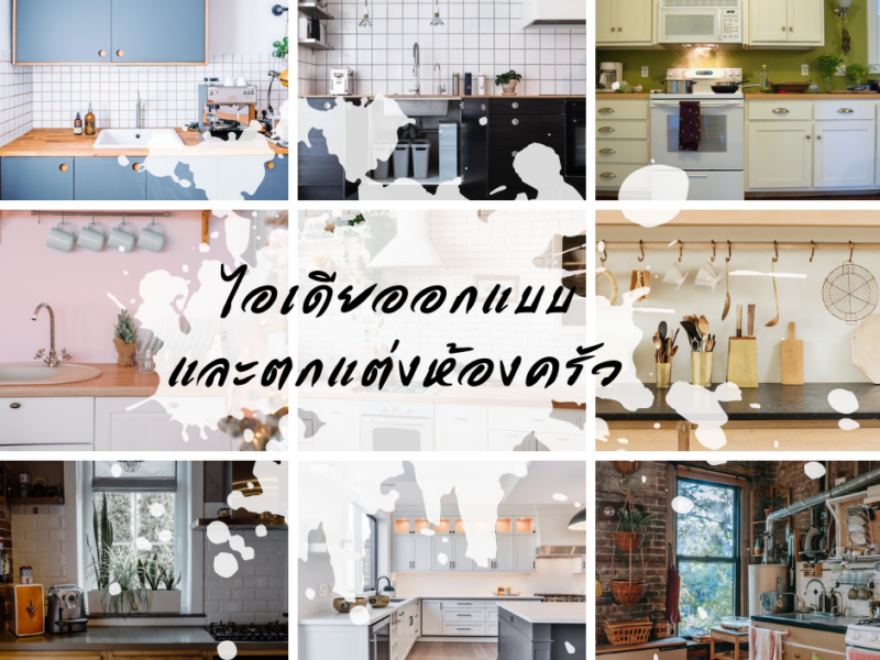 Ta-panda - แหล่งรวมความรู้ต่างๆ และ ไอเดียที่น่าสนใจ